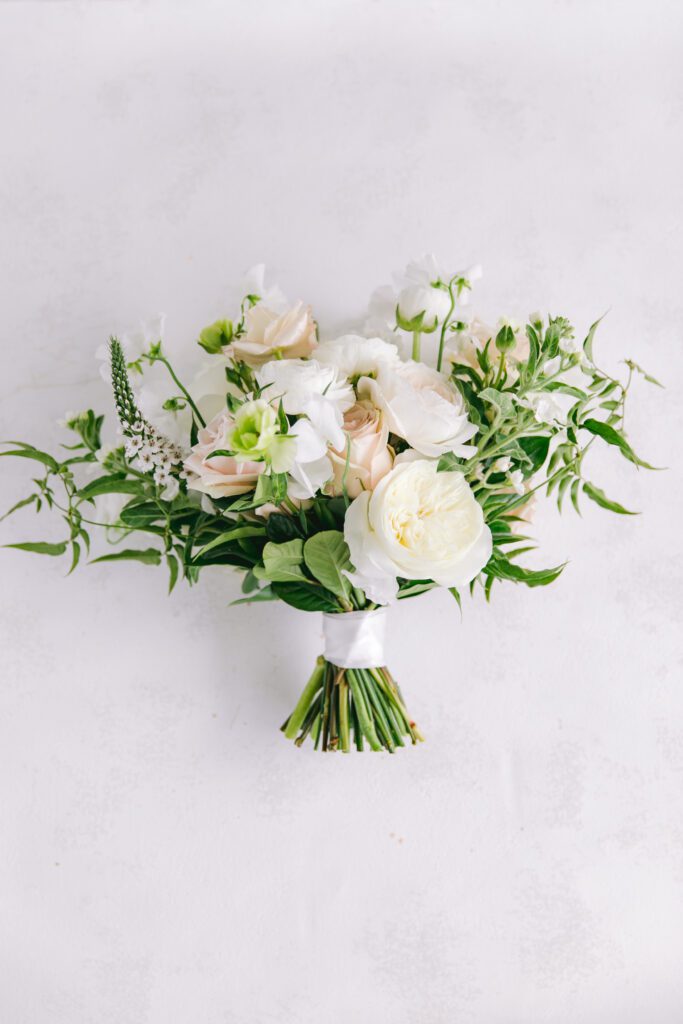 Home » Set Free Photography